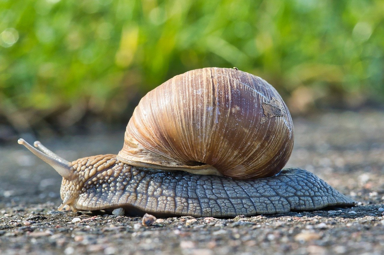 Why does Microsoft Teams slow down when I share my screen? – A work ...
